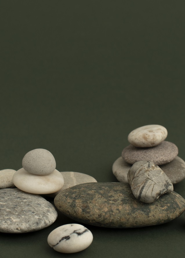 Services – The Helping Mind